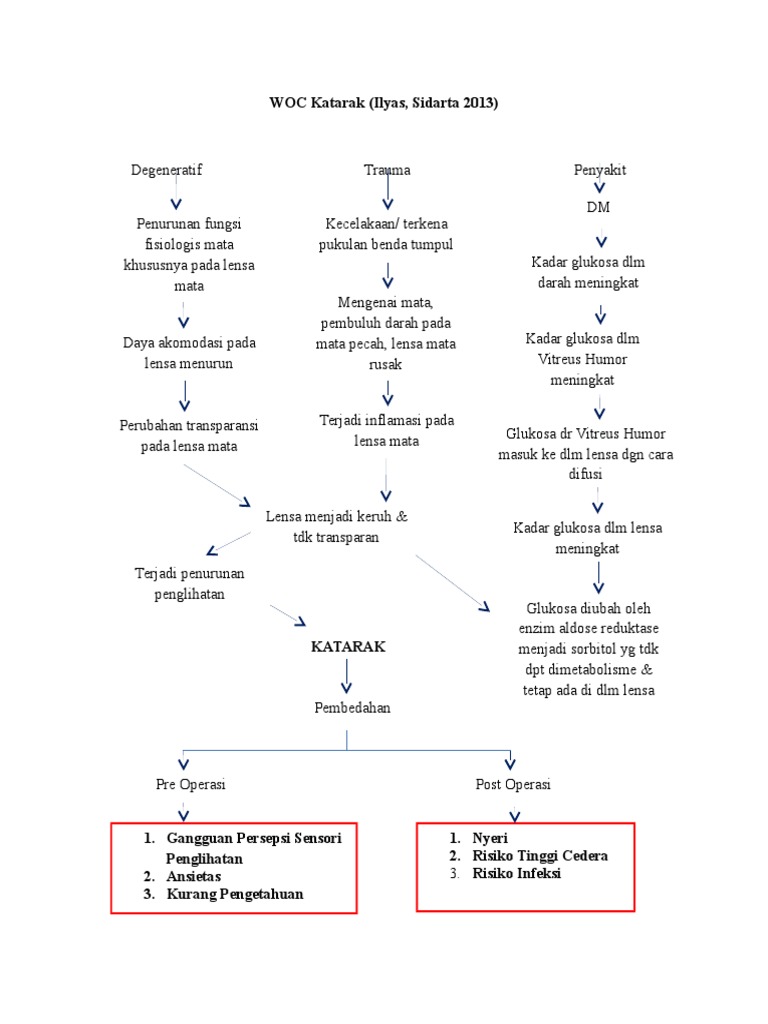 WOC Katarak | PDF
