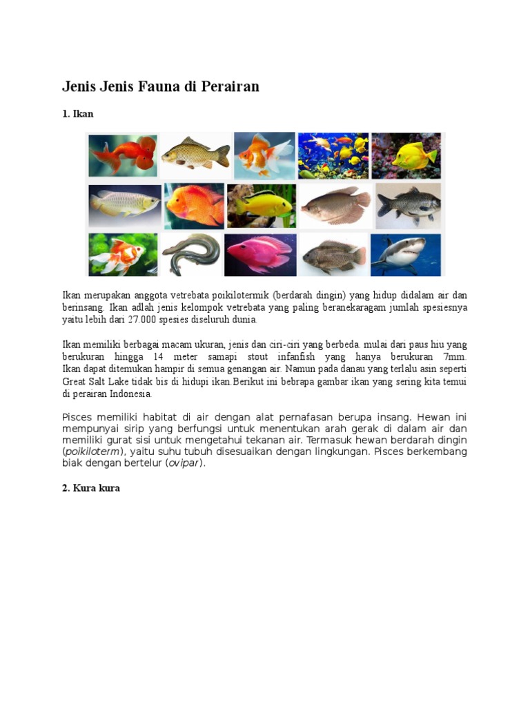 Jenis Jenis Fauna Di Perairan | PDF