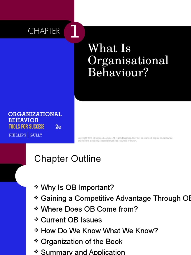 Organisational Behaviour | PDF | Organizational Behavior | Competitive ...
