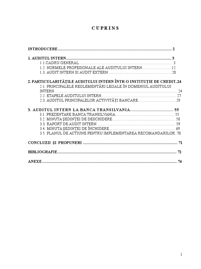 Lucrare - Audit Intern | PDF