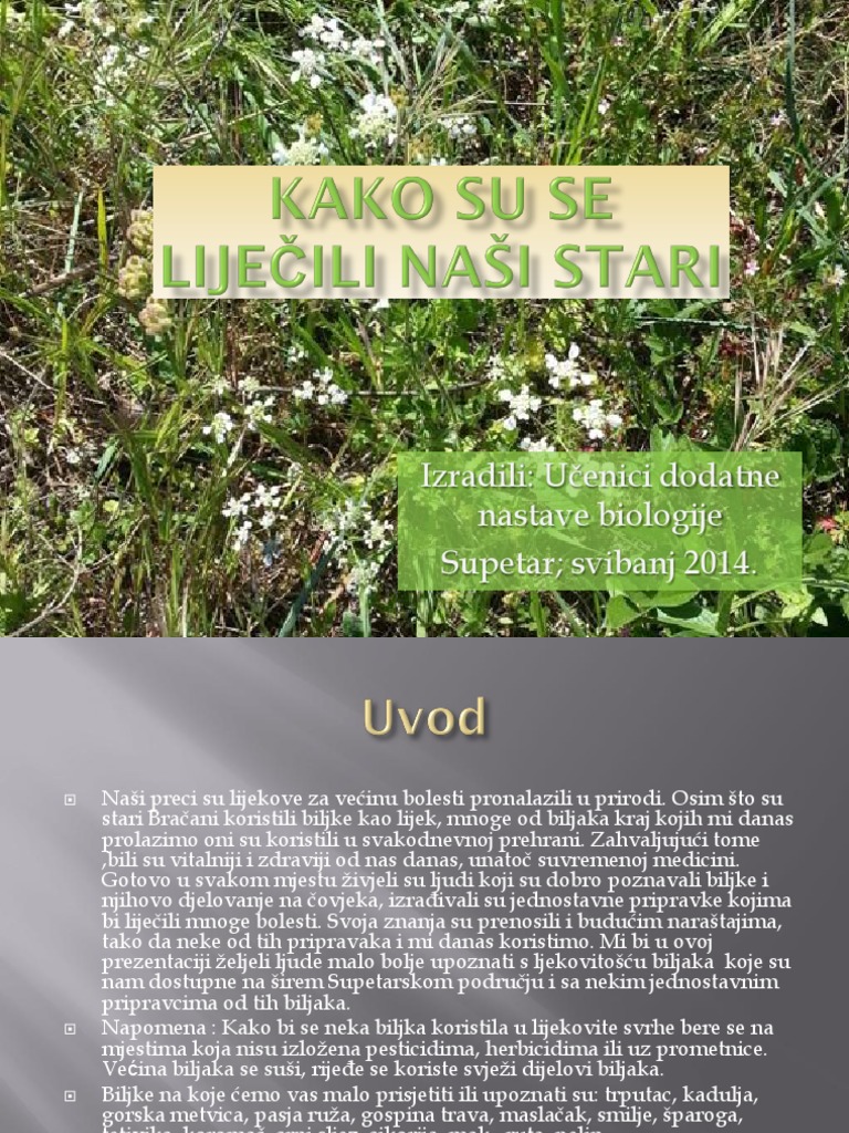 Kako Su Se Lijecili Nasi Stari | PDF