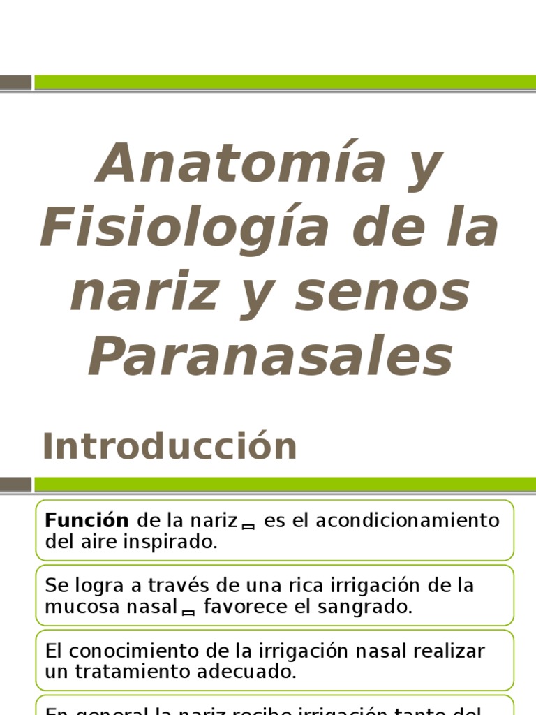 Anatomía y Fisiología de La Nariz y Senos Paranasales | PDF | Rasgos faciales | Anatomía humana