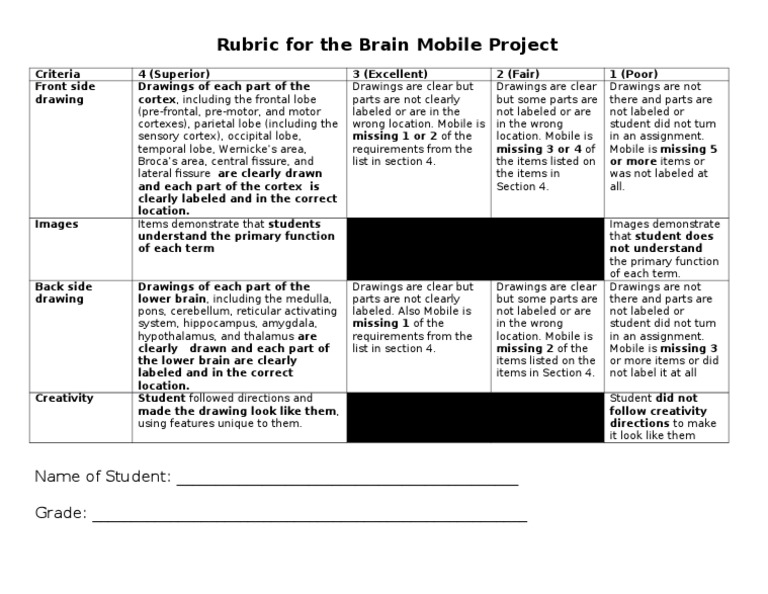 Rubric For The Brain Mobile Project | PDF | Cerebral Cortex | Brain