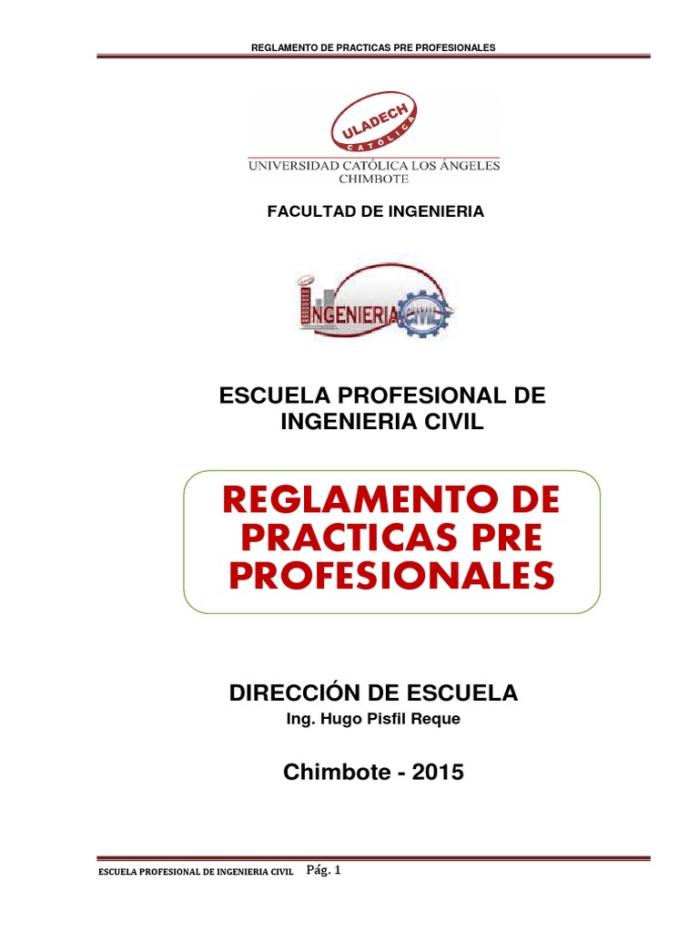 RPPP | PDF | Ingeniero civil | Ingeniería