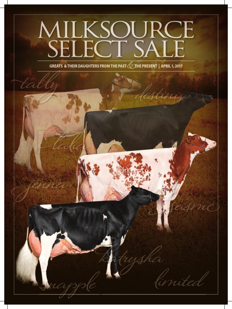 Milk Source Select Sale | PDF | Animals And Humans | Cattle