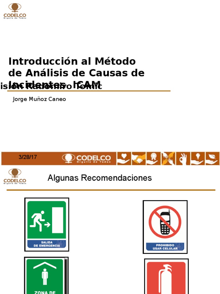 ICAM | PDF | Salud y bienestar | Medicina