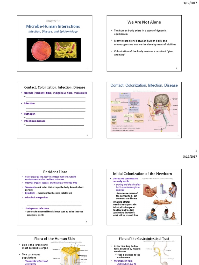 CH 13 Microbe-Human Interactions (Student) .PPT (Compatibility Mode ...