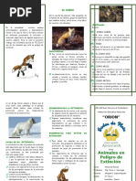 Infografía Zorro | PDF | Roedor | Organismos