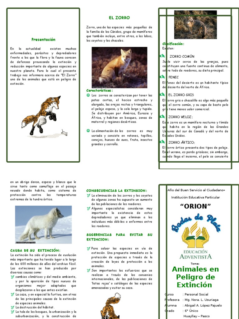 El Zorro | PDF | Extinción | Conservación