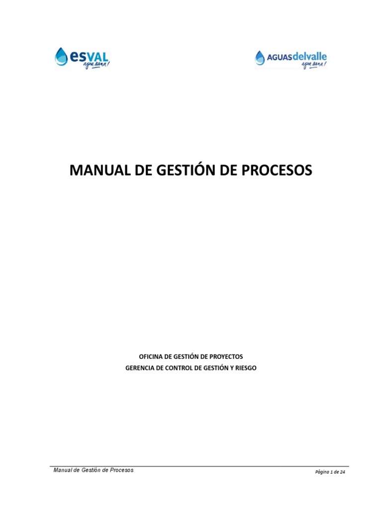 Manual de Gestión Procesos | PDF