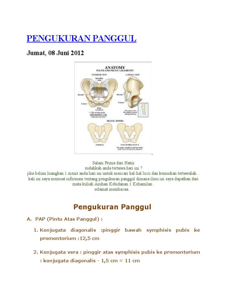 Ukuran Panggul dan Pengukurannya | PDF