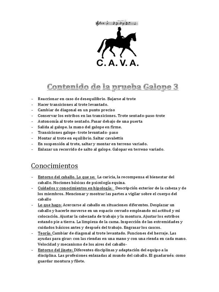 Contenido de La Prueba Galope 3 | PDF | Marcha del caballo | Caballos