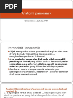 Interpretasi Hasil Foto Rontgen Anatomi Normal | PDF