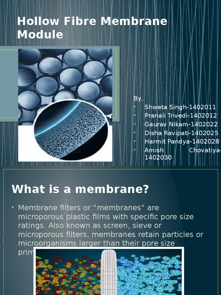 Hollow Fibre Membrane Modules: Structure, Fabrication, Classification ...