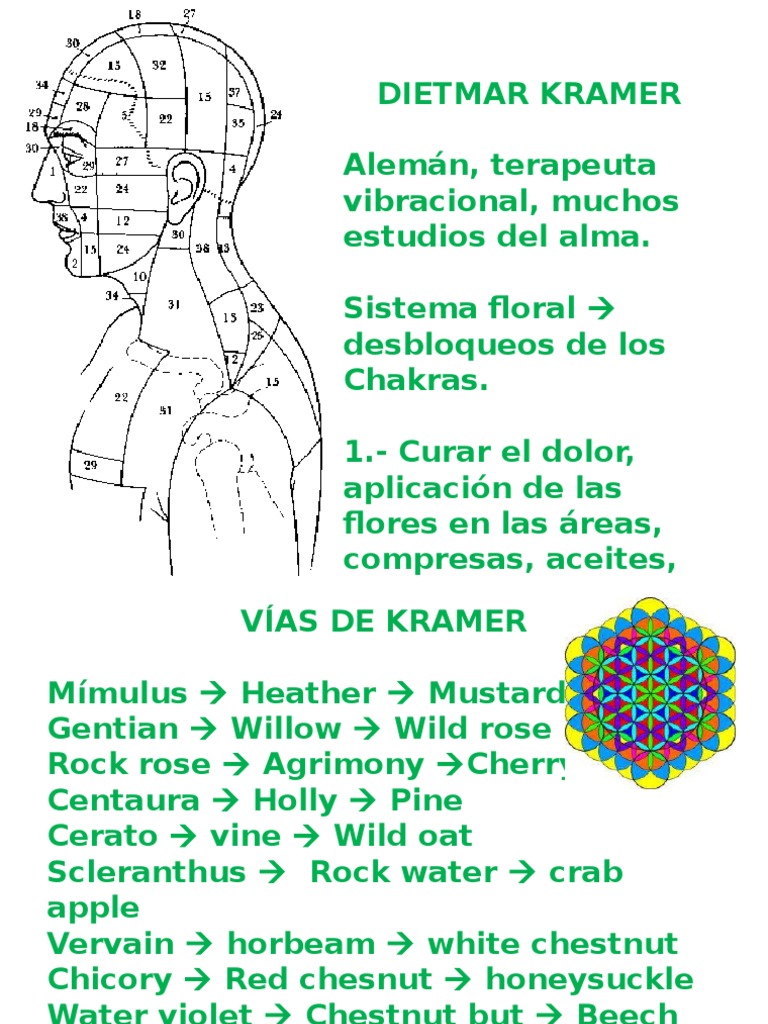 Test de Kramer y Chakras | PDF