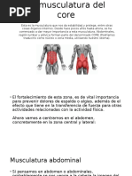 Músculos Del Torso | PDF | Sistema musculoesquelético | Anatomía humana