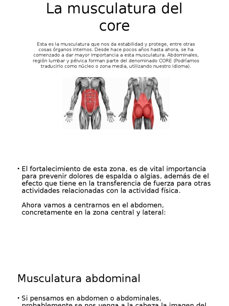 La Musculatura Del Core | PDF