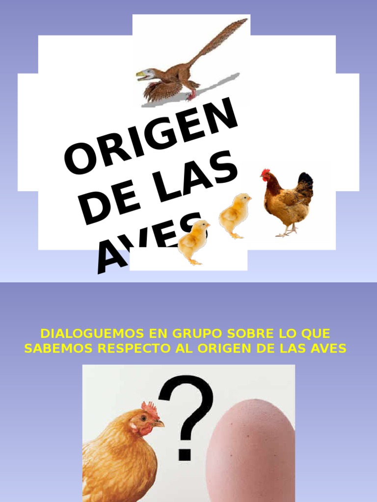 Origen de Las Aves | PDF | Aves | Pluma