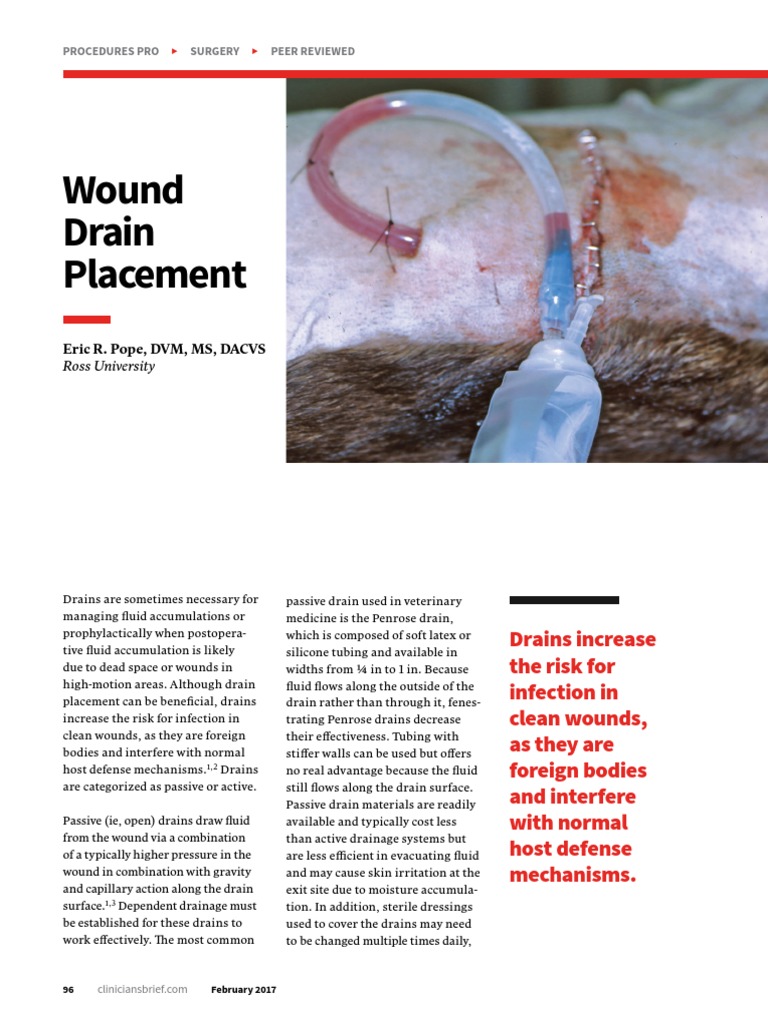 Wound Drain Placement | PDF | Surgical Suture | Gamma Aminobutyric Acid