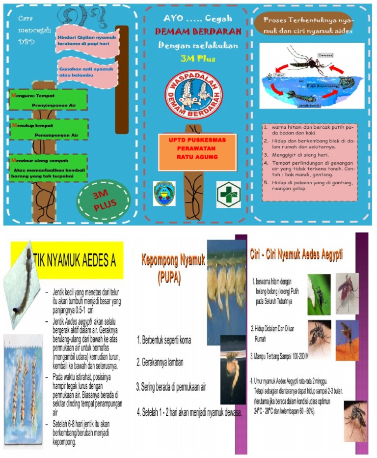 Leaflet Jumantik | PDF