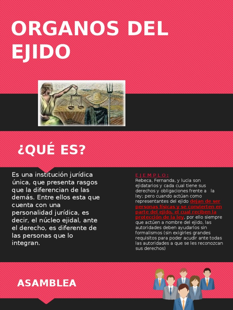 Organos Del Ejido