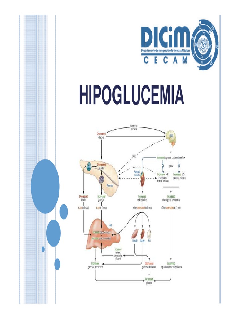 Anexo 10 Ppt De Hipoglucemia Hipoglucemia Medicina Clinica