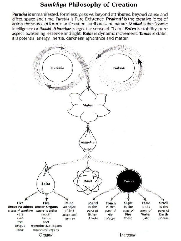 Sankhya Philosophy of Creation | PDF
