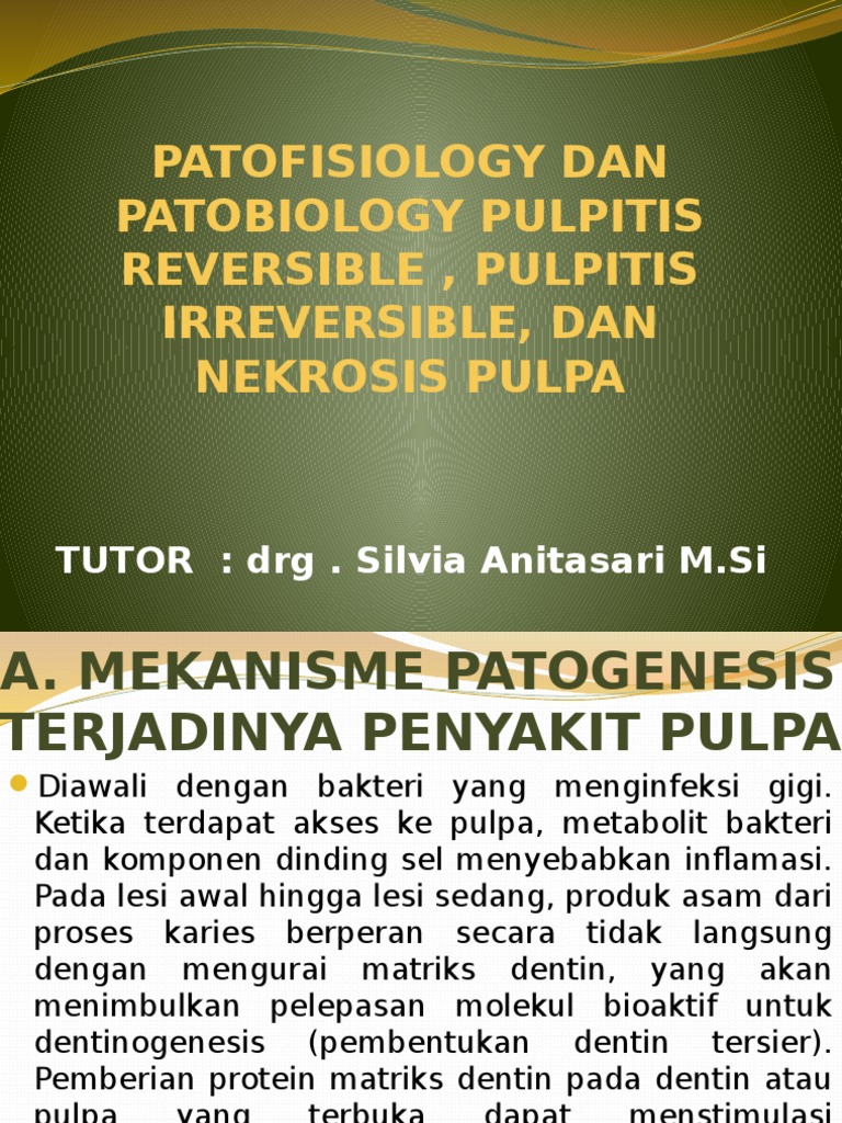 Patofisiology Dan Patobiology Pulpitis Reversible, Pulpitis ...