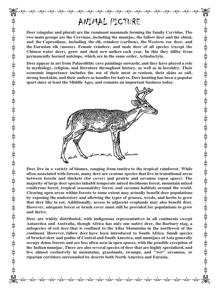 Deer | PDF