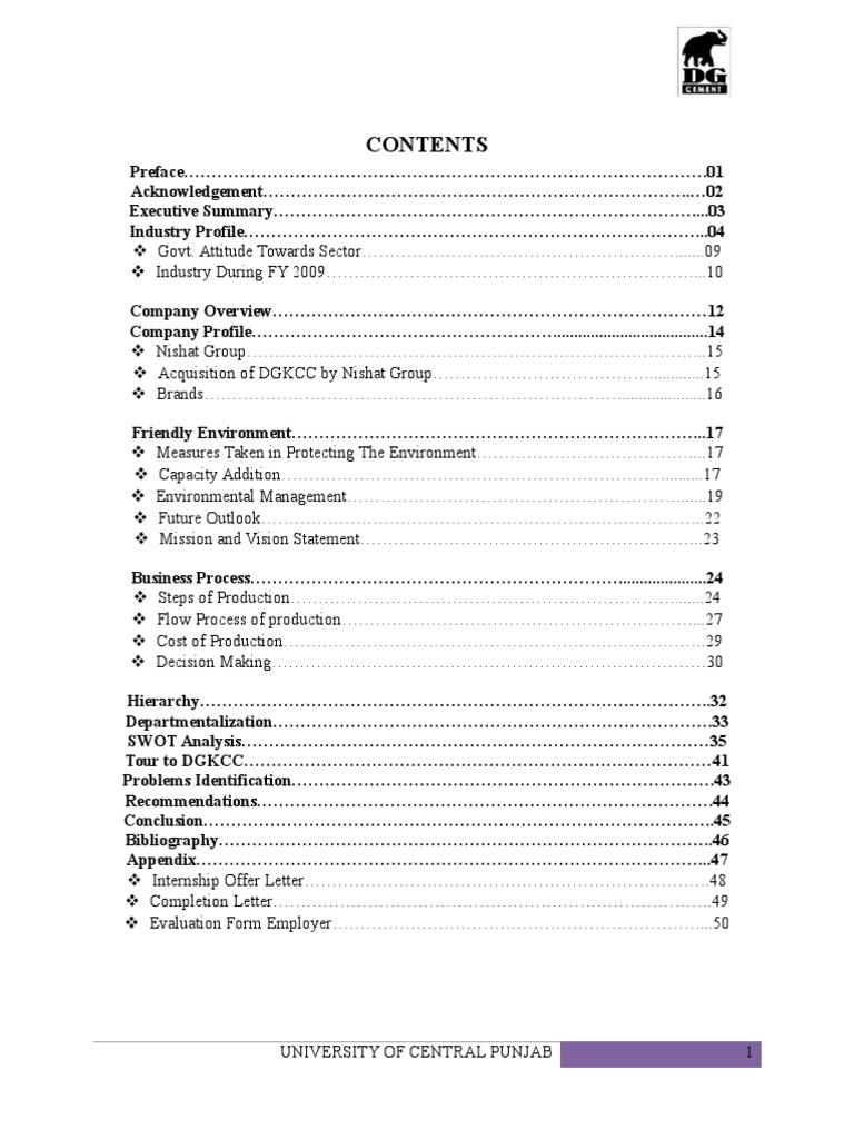 DG Cement Internship Report | PDF