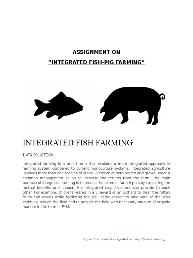 Aquaculture - Integrated Pig and Fish Farming | PDF | Manure | Agriculture