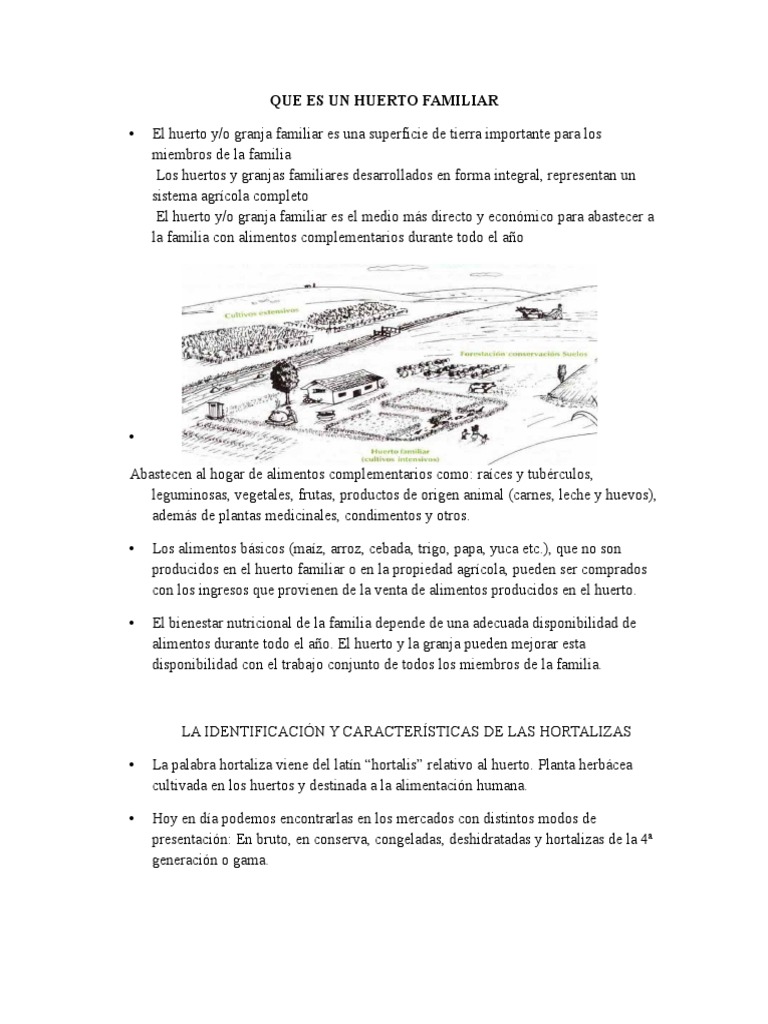 Que Es Un Huerto Familiar | PDF