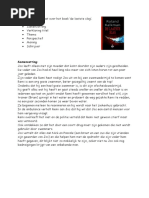 Samenvatting Het Leven Van Een Loser | PDF