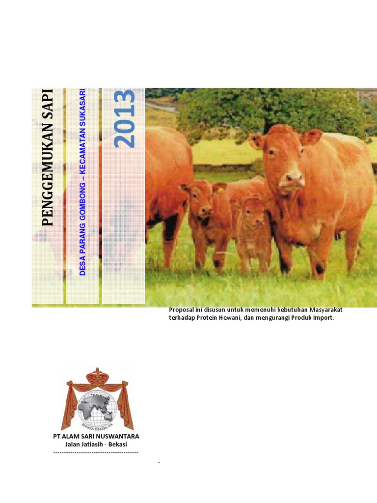 Proposal Sapi Potong Int PDF | PDF