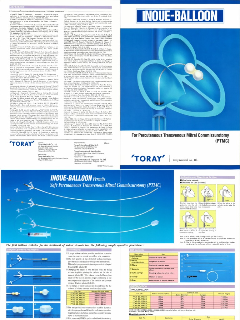 Inoue Balloon Toray PDF | PDF
