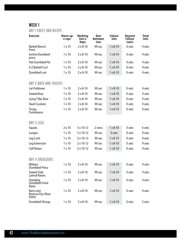 Work Out PDF | PDF | Physical Exercise | Weight Training