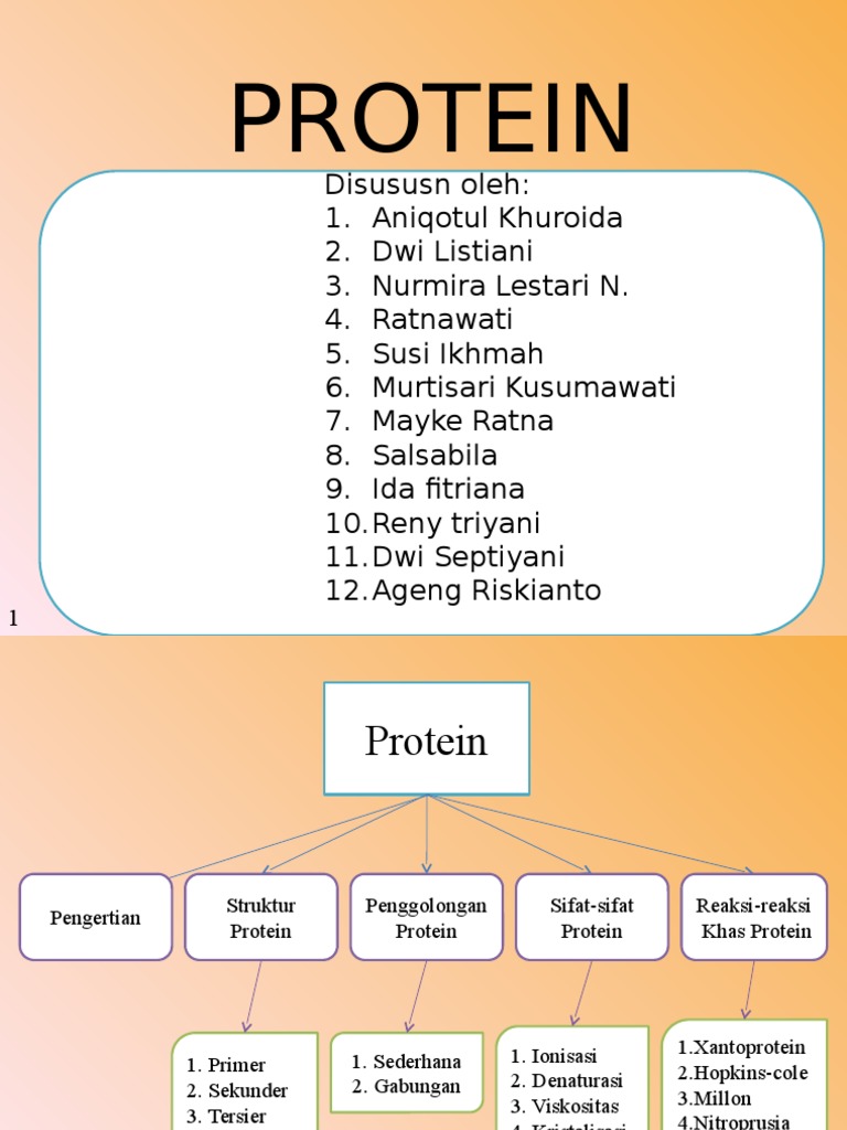 PPT Biokimia Protein | PDF