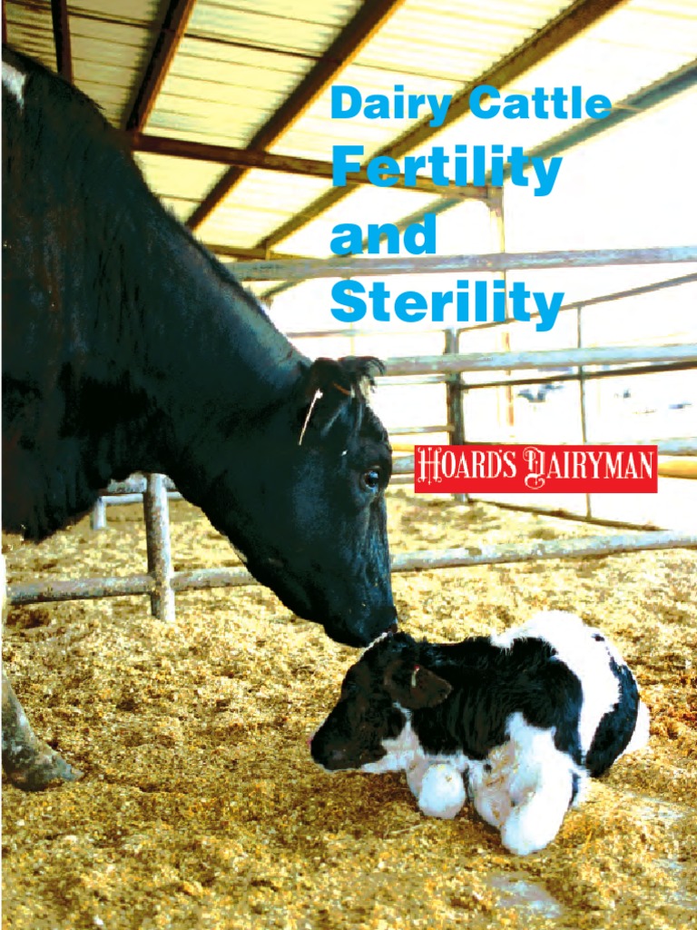 Dairy Cattle Fertility and Sterility (1) | Testicle | Infertility