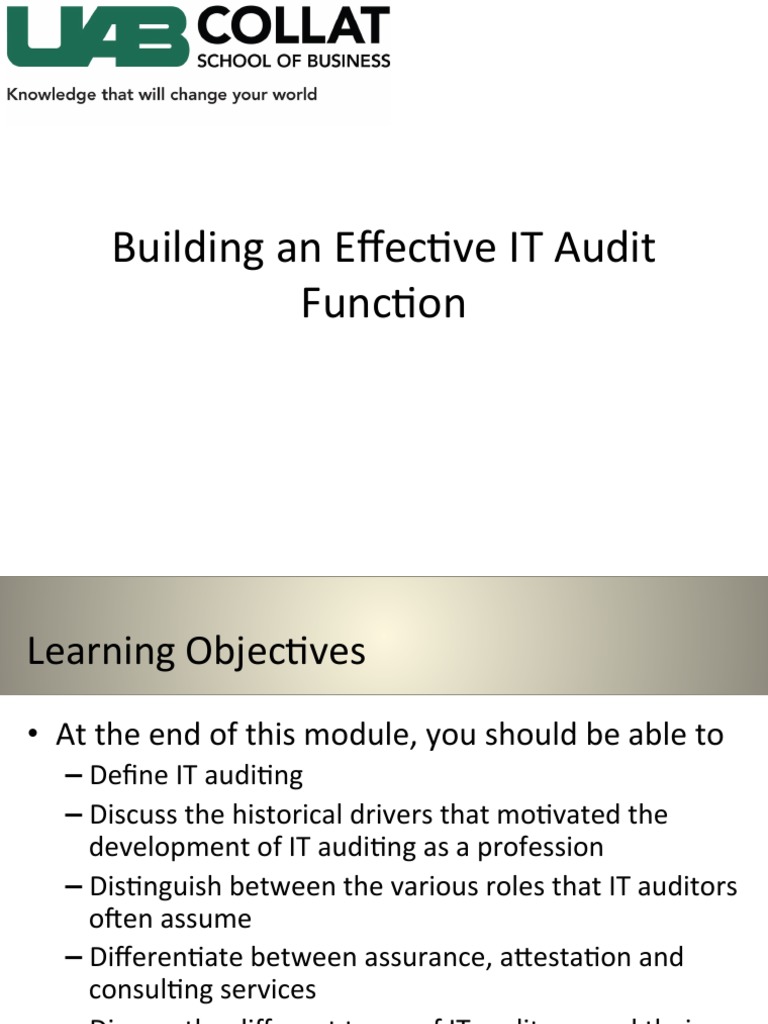 Building An Effective IT Audit Function | PDF | Audit | Outsourcing