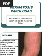 Inserto Esfinto Plus | PDF | Medicina CLINICA | Especialidades Medicas