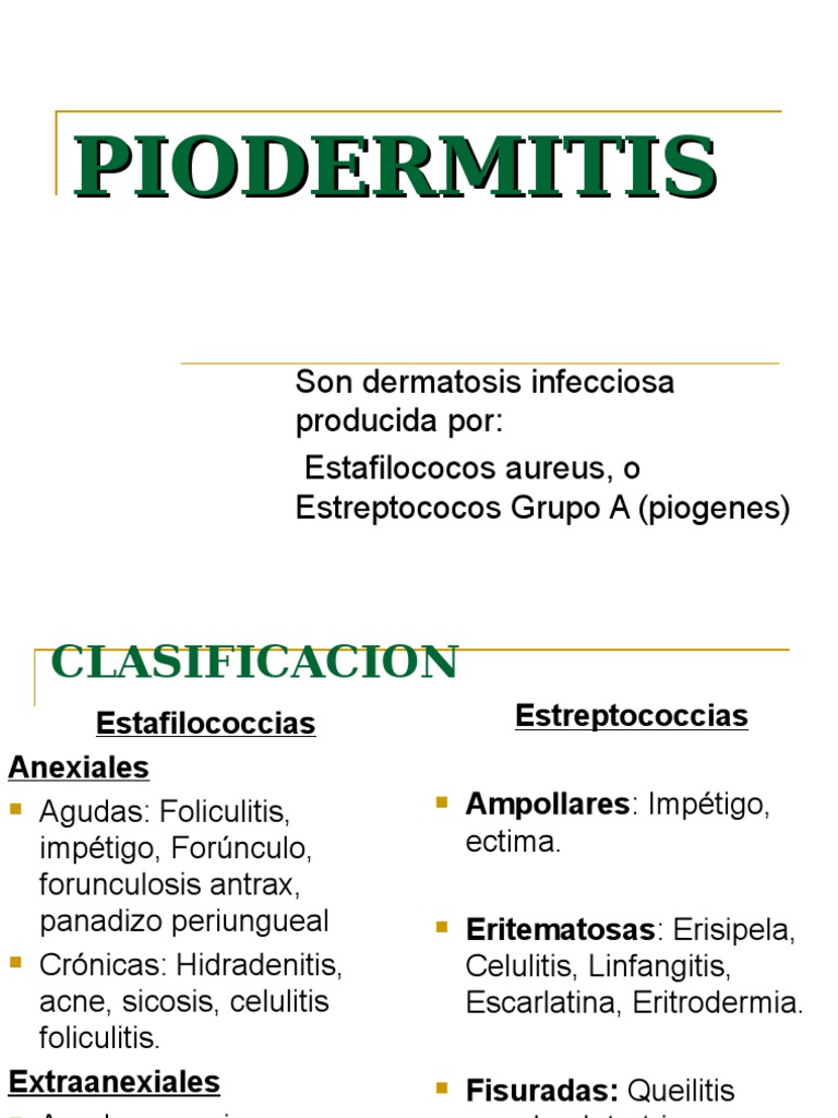 Clasificación y Tratamiento de Piodermitis | PDF | Microbiología ...