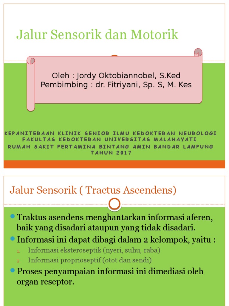 Referat Jaras Sensorik Motorik | PDF | Pengembangan Diri | Kesehatan ...