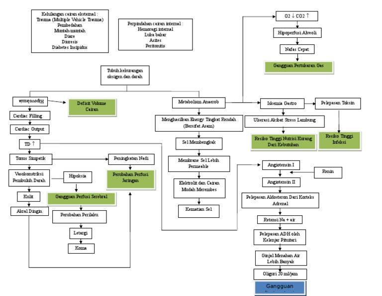 WOC Syok Hipovolemik | PDF