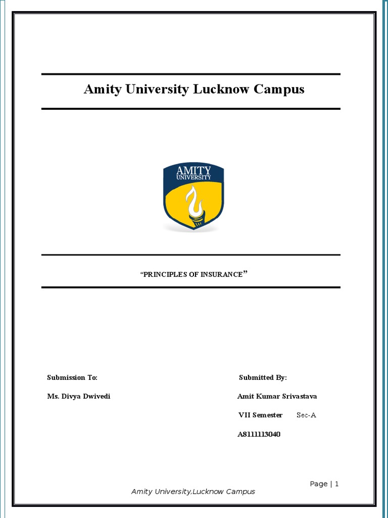 Principles of Insurance: An In-Depth Analysis of the Fundamental ...