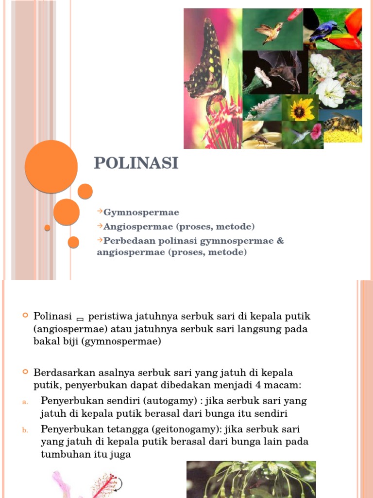 Polinasi Kelas Hebat | PDF
