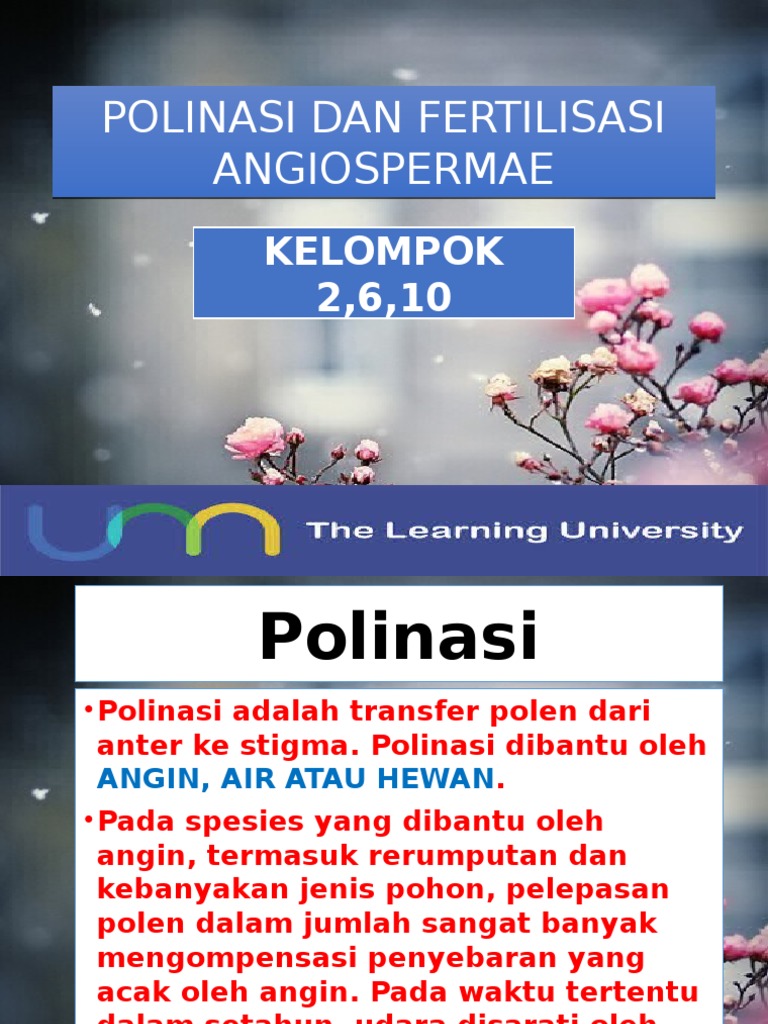 Polinasi dan Fertilisasi Tumbuhan | PDF