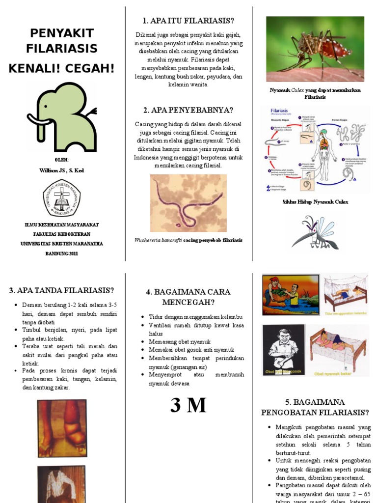 Leaflet Filariasis | PDF