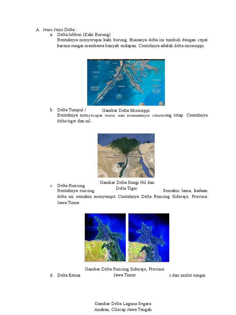 Jenis-Jenis Delta Sungai | PDF