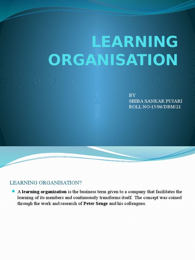 Learning Organisation | PDF