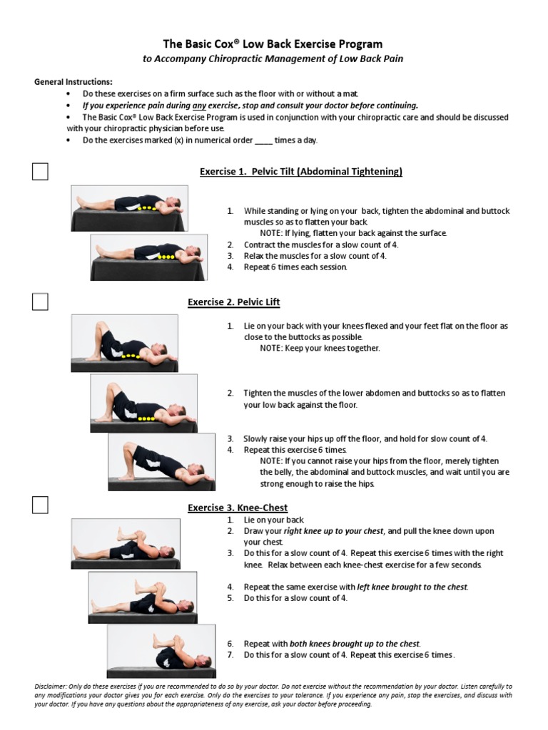 Basic Cox | Human Body | Human Anatomy